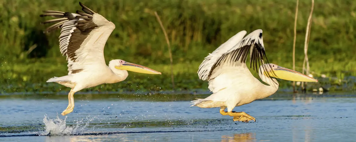 2027 - 1.200 Miles on the Beautiful Blue Danube
